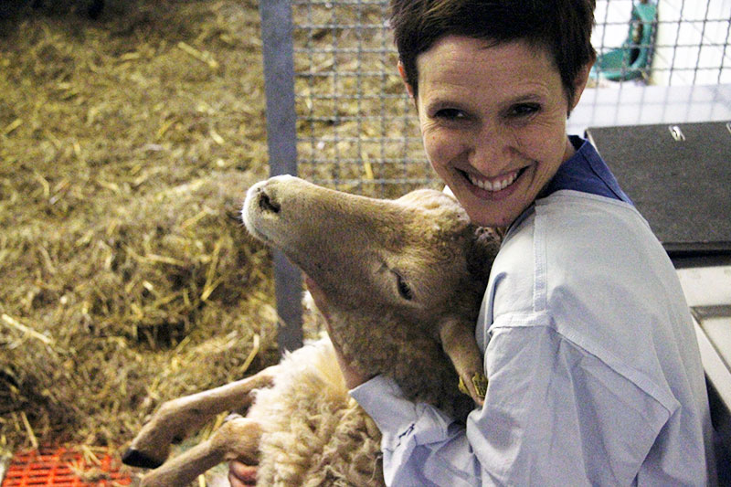 Animal Care